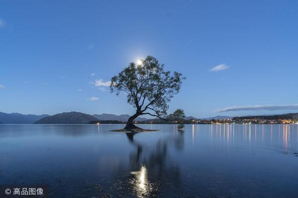 这颗树成了瓦纳卡的名片，也惊艳了世界 - 知乎