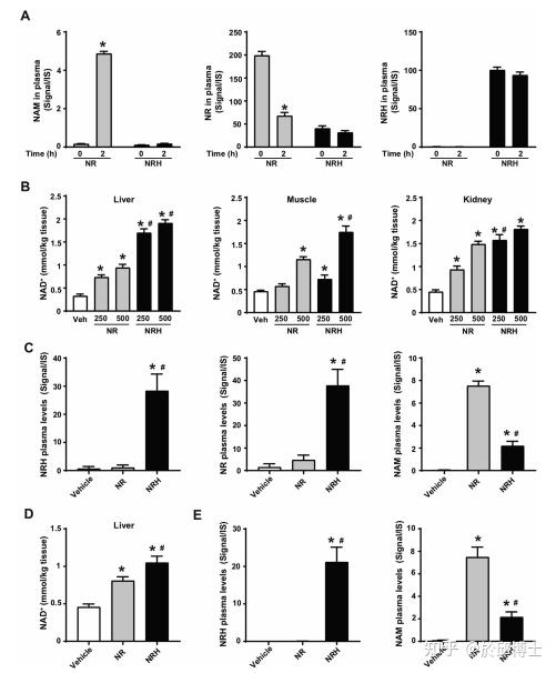 更快，更高，更强——NAD+界卷王来了！谈谈NRH和NMNH - 知乎