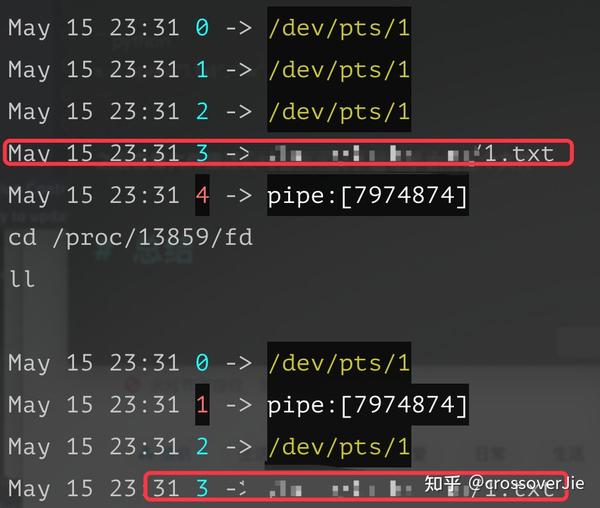 Python Os popen Pipe 