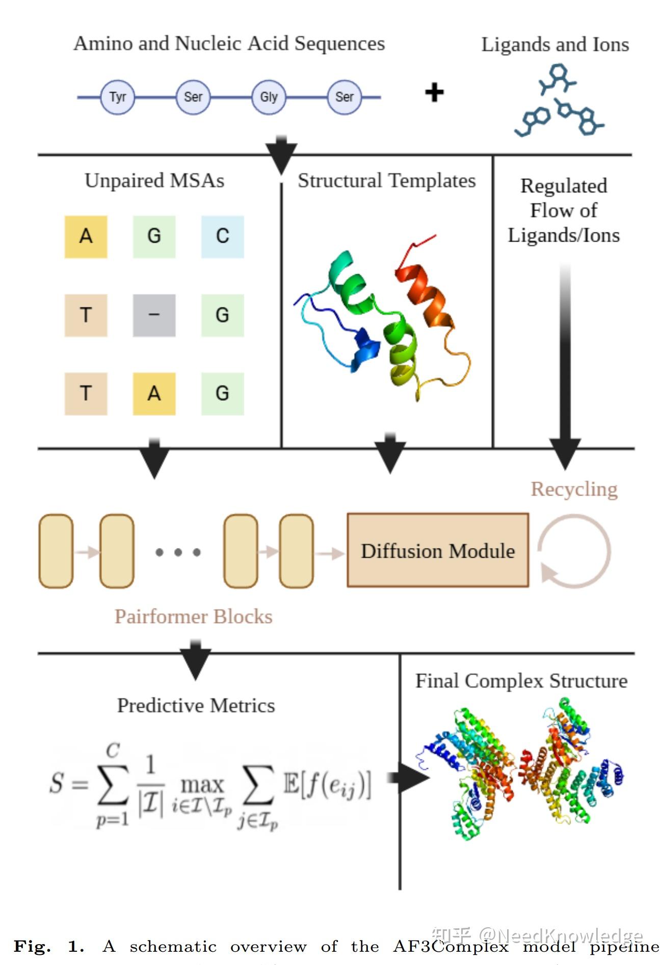 2025-AF3Complex 提供了蛋白质复合物结构预测的改进 - 知乎