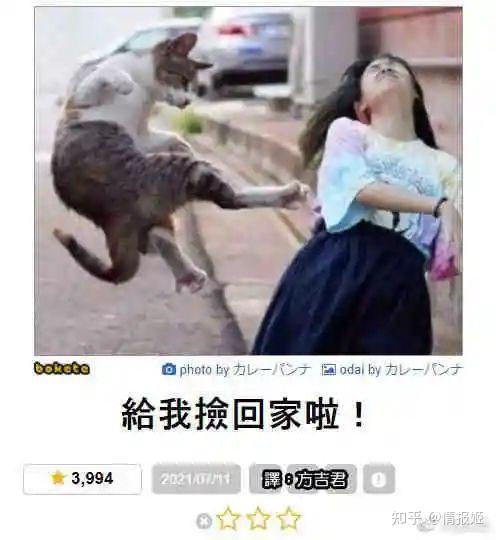 现在的meme，终于进化成了看不懂的样子 - 知乎