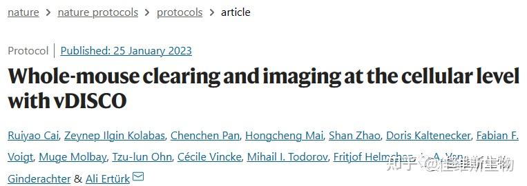 Nature Biotechnology（IF=46.9）：组织透明化技术新突破——小鼠全身免疫荧光标记结合组织透明化技术获得完整小鼠三维整体 ...