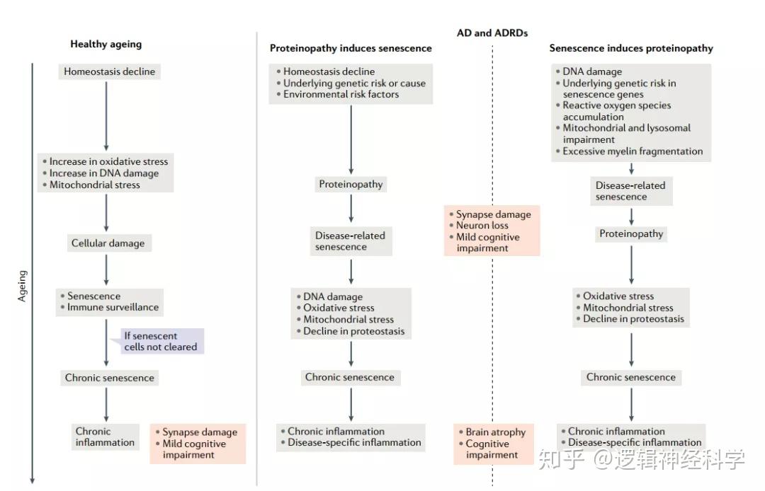 特别推荐︱Nature 神经科学领域6月份最新综述精选 (一) - 知乎