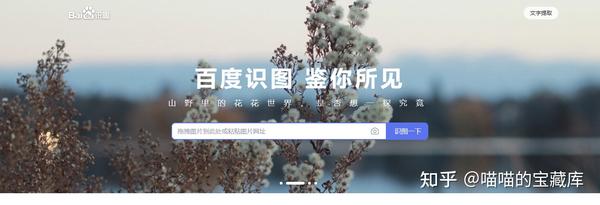 12个以图搜图网站！获高清图片不求人！ - 知乎