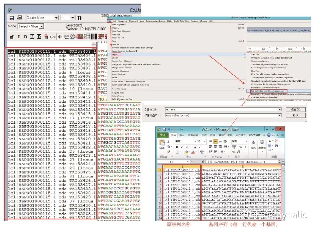 干货 | 当 BioEdit 遇上 Excel ，批量处理序列不用愁！ - 知乎