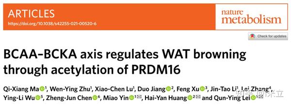 IF:19.865｜抵抗肥胖的新思路：BCAA-BCKA轴通过PRDM16的乙酰化调节WAT的褐变 - 知乎