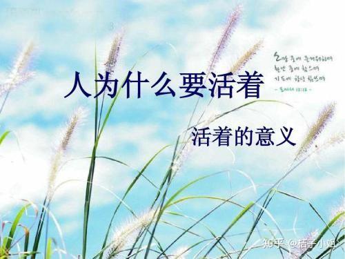 生活的意义～ 知乎