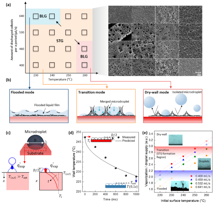 ACS Nano：3D石墨烯自组装过程还可以这么玩？ - 知乎