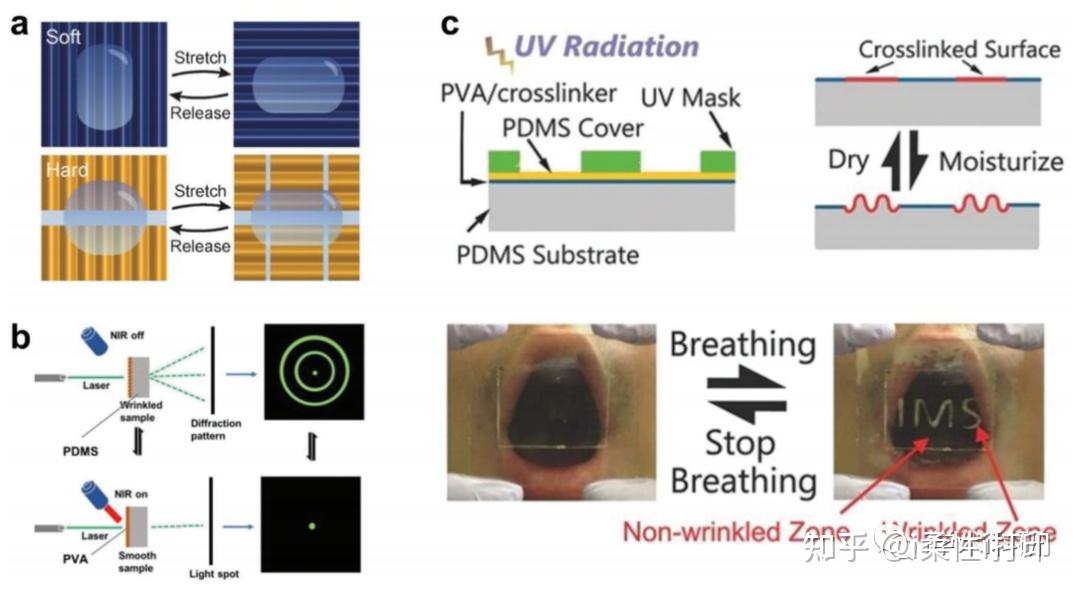 柔性基底 PDMS 最新的那些事儿 - 知乎