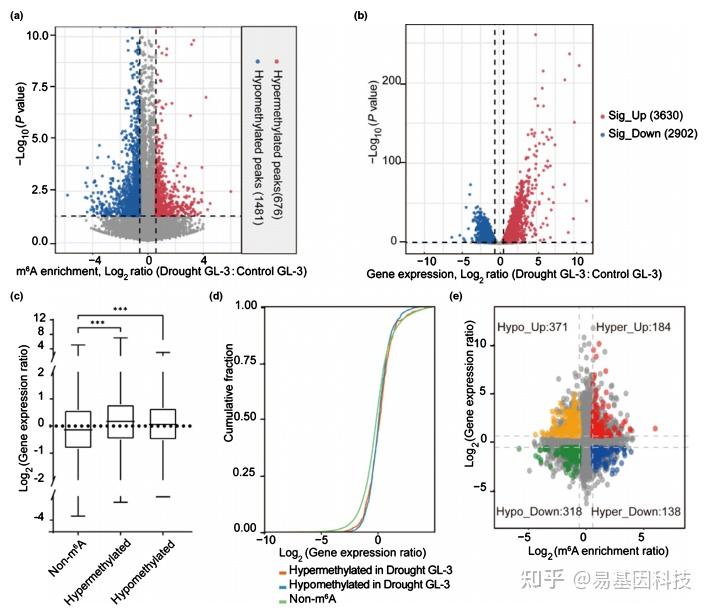 作物育种：MdMTA介导的RNA甲基化(m6A修饰)在苹果抗逆品种选育中的作用研究 - 知乎