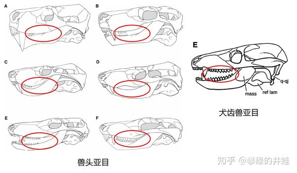 【地球演义】百兽图7：赶狻猊 - 知乎