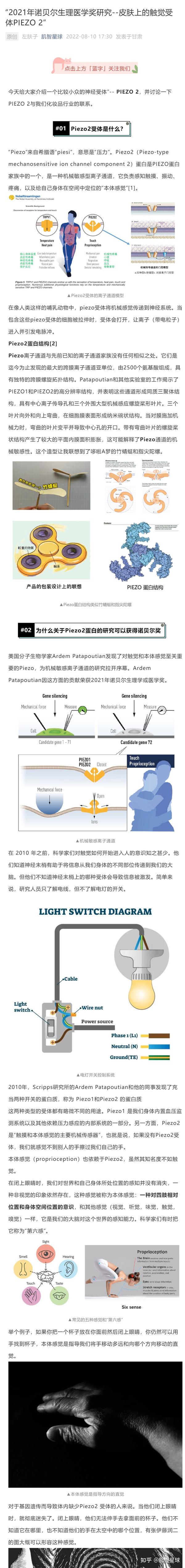 2021年诺贝尔生理医学奖研究--皮肤上的触觉受体PIEZO 2 - 知乎