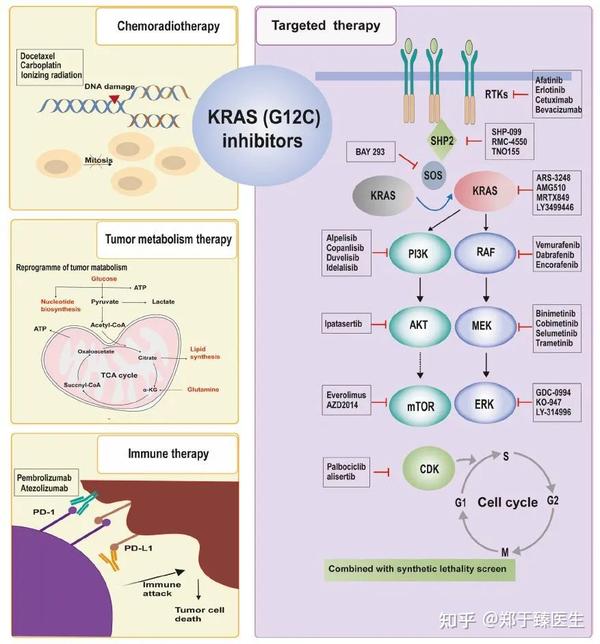 继免疫之后的下一个风口：KRAS抑制剂？ - 知乎