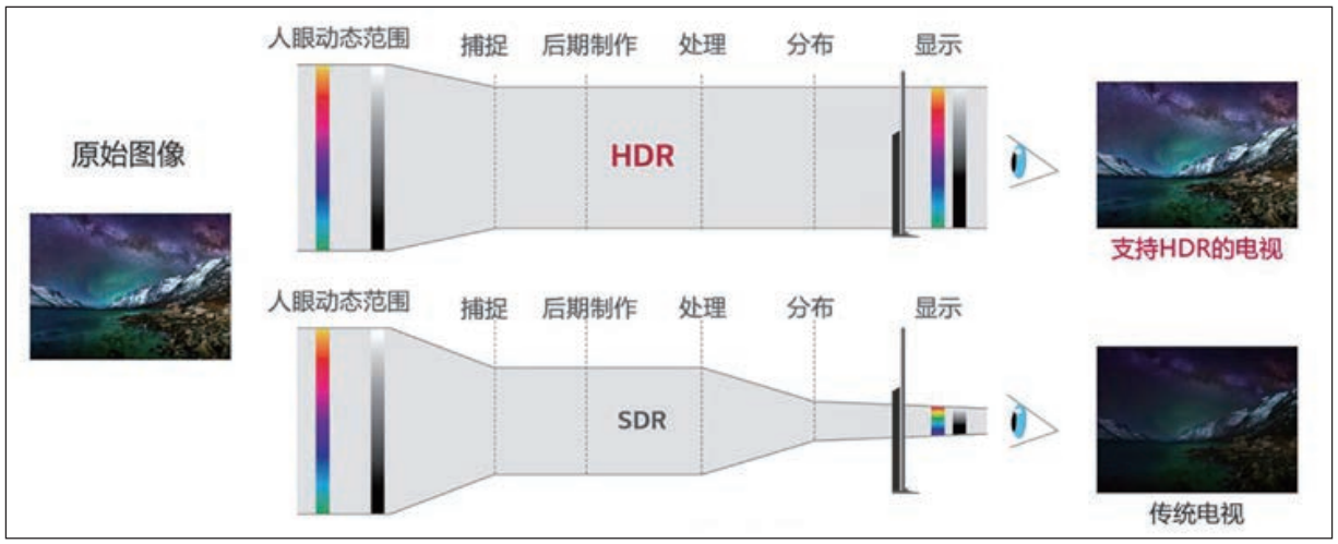 一文看懂超高清AVS3的伴侣——HDR Vivid - 知乎