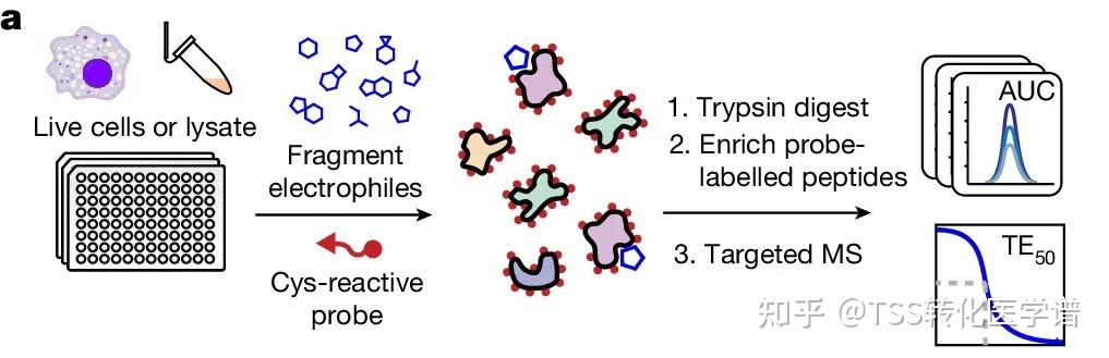 【Nature】背靠背，拜耳和诺华同时披露合成致死靶点WRN的新型抑制剂 - 知乎