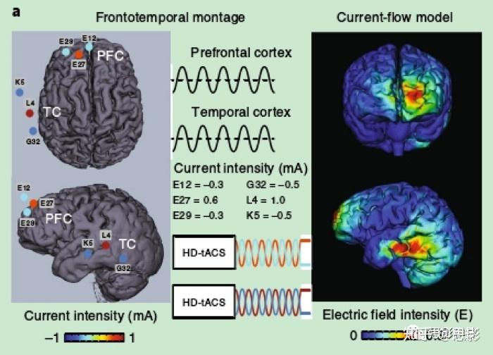 Nature Neuroscience：经颅交流电刺激（tACS）有助于老年人工作记忆的恢复 - 知乎