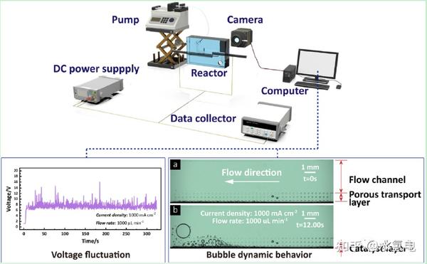 重大JPS：PEMWE阳极PTL气泡动态行为 - 知乎