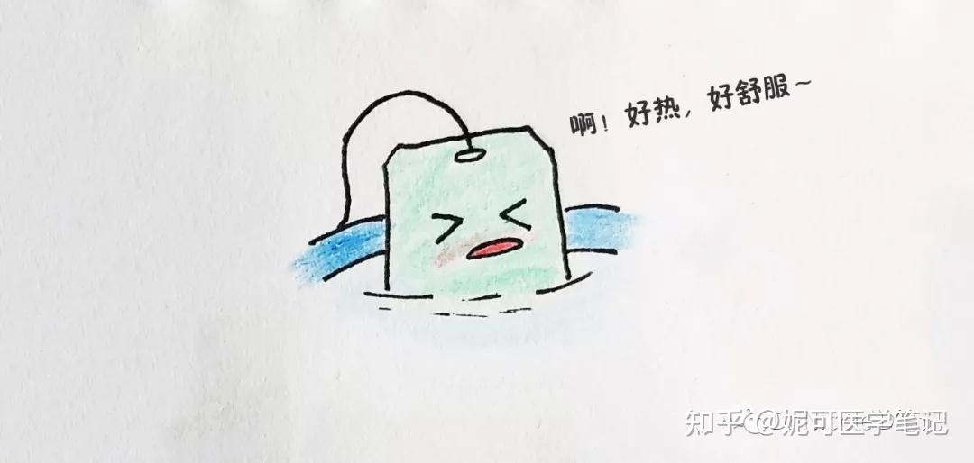 学习分享103早泄与持久Ⅱ：龟头敏感性自检及早泄成因、分类 知乎