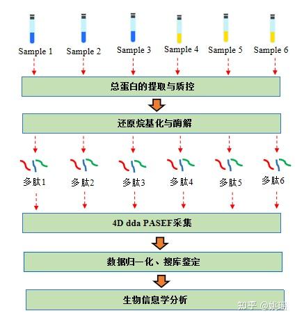 一文简述4D-DIA蛋白质组学 - 知乎