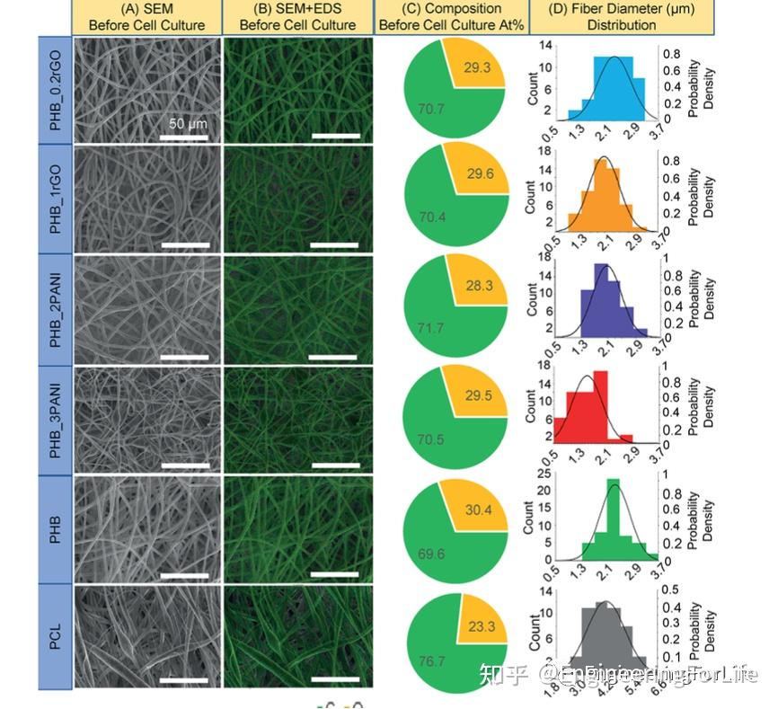 《ACS AMI》：压电聚合物复合材料与间充质干细胞相互作用研究 - 知乎