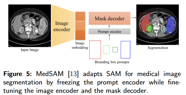 SAM在医学影像中的应用（最新） - 知乎