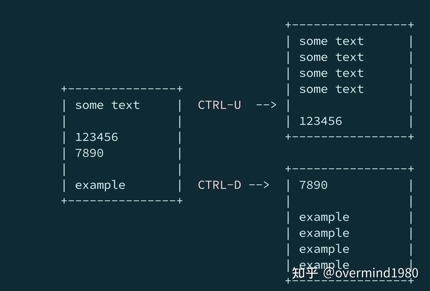 oeasy教您玩转vim - 29 - # 垂直翻页 - 知乎