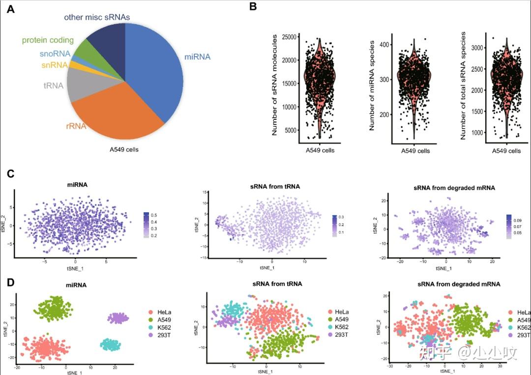 Nature 子刊 | 助力疾病研究，small RNA测序新技术：PSCSR-seq - 知乎