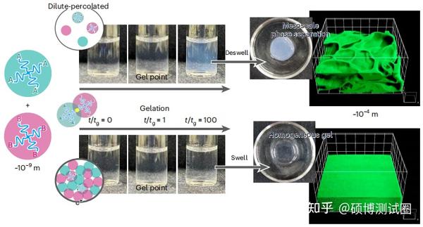 《Nat. Mater.》：凝胶-凝胶相分离 - 知乎
