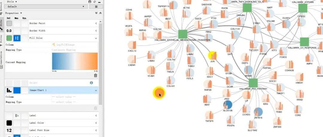 新录制了一个Cytoscape整合富集分析和基因表达的网络图绘制 - 知乎