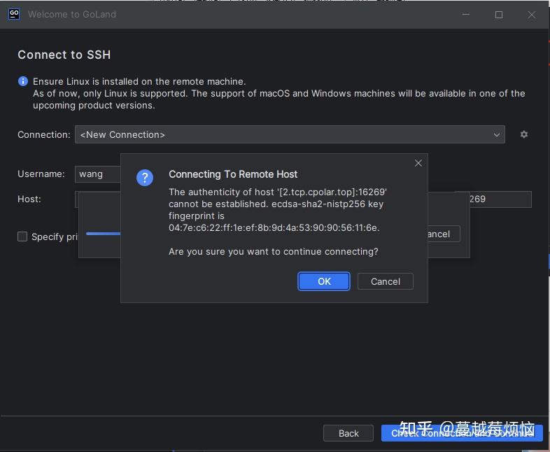 GoLand远程开发IDE：使用SSH远程连接服务器进行云端编程 - 知乎
