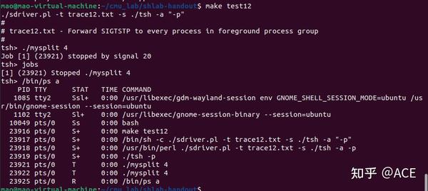 CSAPP课程Lab5 Shell Lab - 知乎