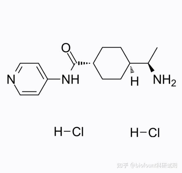 Y-27632 二盐酸盐，Rho 激酶抑制剂 - 知乎