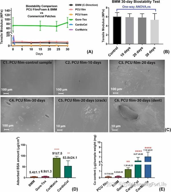 《Biomaterials》：用于心脏瓣膜修复和置换的仿生多层聚合物材料 - 知乎