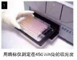 零基础SCI绘图（15）如何零基础IC50出图实验篇 - 知乎