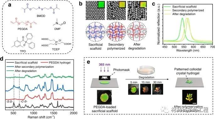 东南大学《Nature》子刊：双光子光刻技术3D打印胶体晶体微结构！ - 知乎