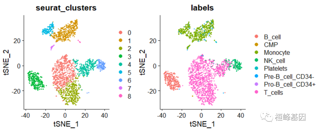 SCS【6】单细胞转录组之细胞类型自动注释 (SingleR) - 知乎