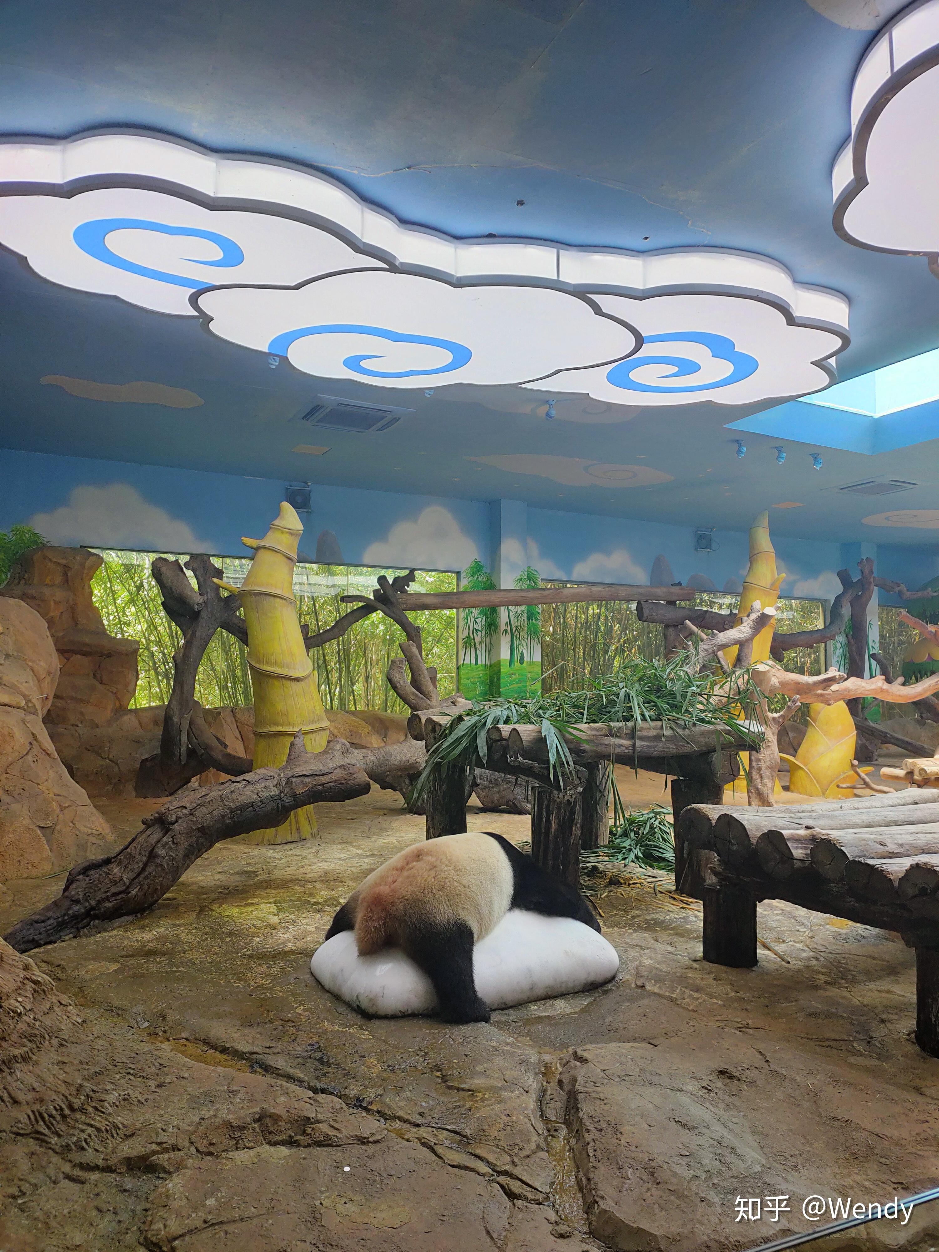 广州长隆野生动物园攻略 - 知乎