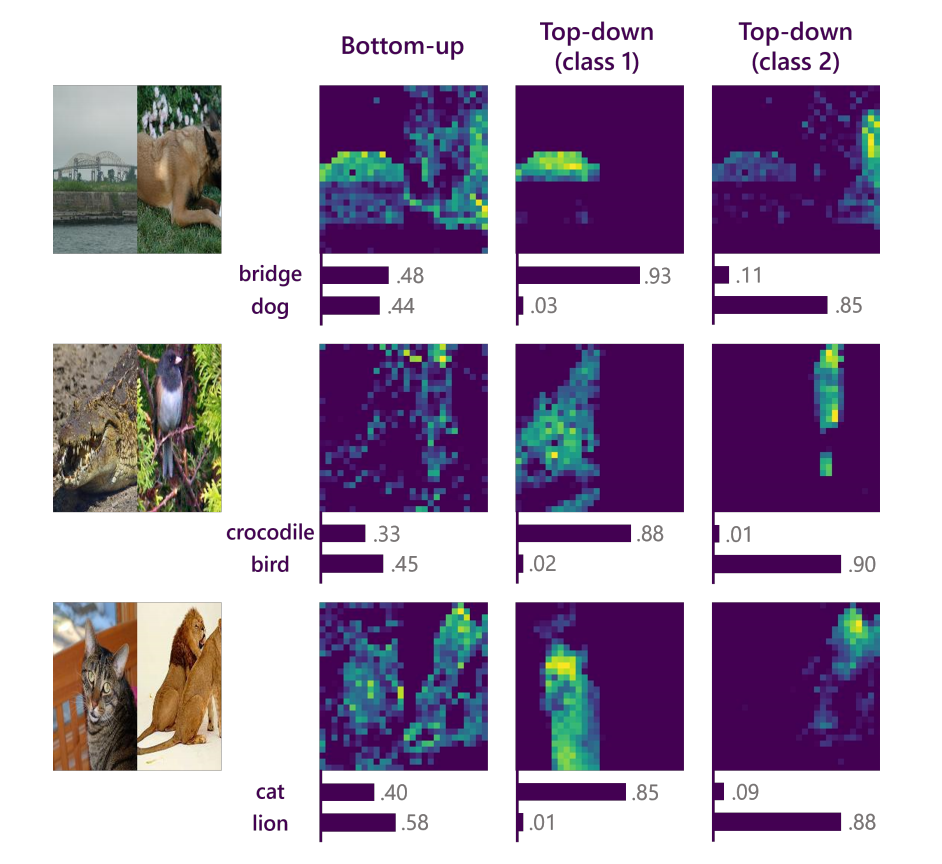 小柴的学习笔记——Top-Down与Bottom-Up - 知乎