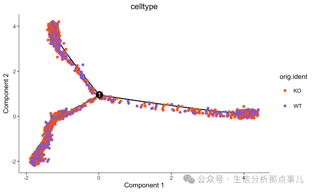 一篇代码搞定monocle2的所有可视化 - 知乎