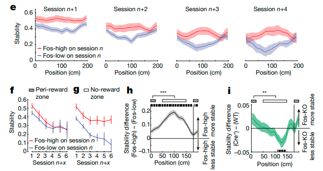 Nature新研究：进一步挖掘海马参与空间信息和情境记忆编码的新机制——聚焦Fos - 知乎