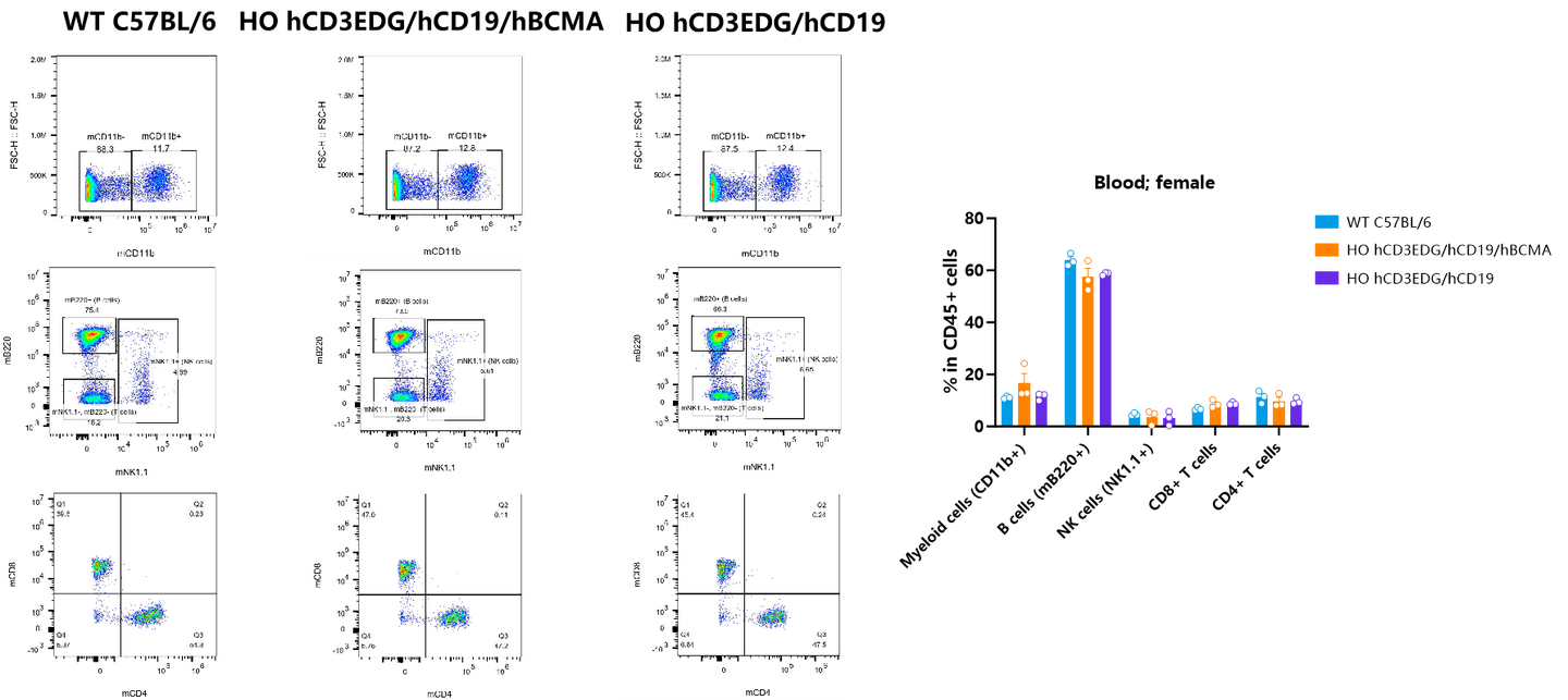 CD3/CD19/BCMA 从肿瘤免疫到自身免疫性疾病的多面利器 - 知乎