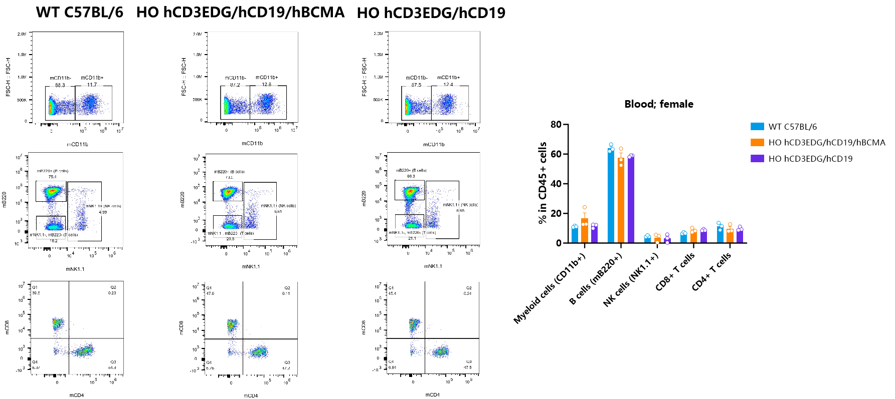 CD3/CD19/BCMA 从肿瘤免疫到自身免疫性疾病的多面利器 - 知乎