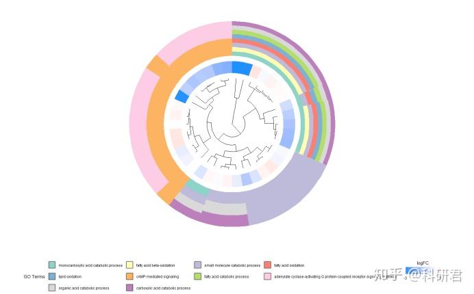 TCGA|GEO可视化分析第2篇---KEGG|GO分析大全 - 知乎