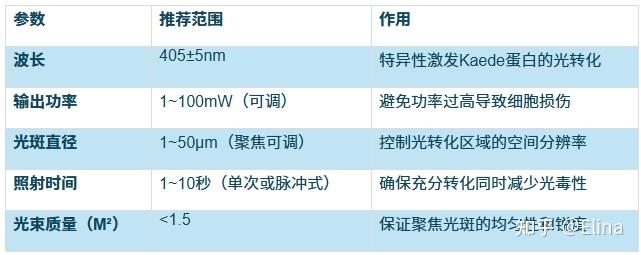 405nm激光器在Kaede小鼠光转化中的应用背景与原理 - 知乎