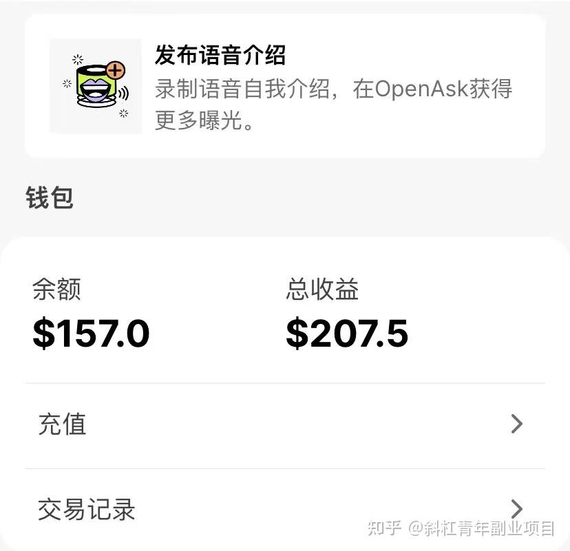 "OpenAsk火爆，国内大佬一天赚取207美金" - 知乎