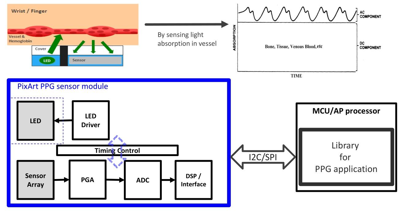 基于原相 PAH8009+CSR BC417 的心率与血氧实时检测方案 - 知乎