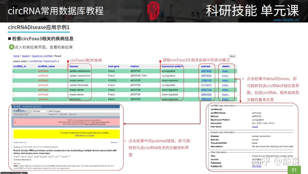 又全又细致的circRNA数据库使用指南，学完秒变circRNA研究达人 - 知乎