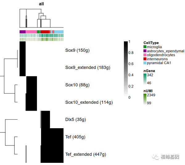 SCS【14】单细胞调节网络推理和聚类 (SCENIC) - 知乎