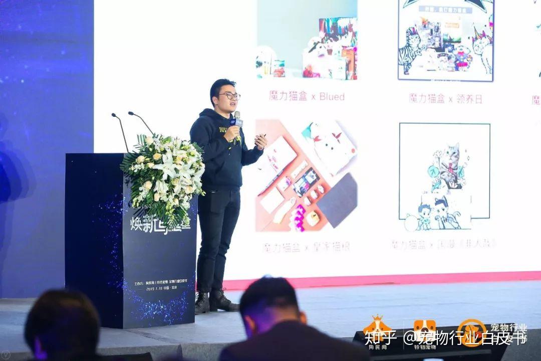 MollyBox魔力猫盒居一：一个自有品牌的“求生”之路 - 知乎