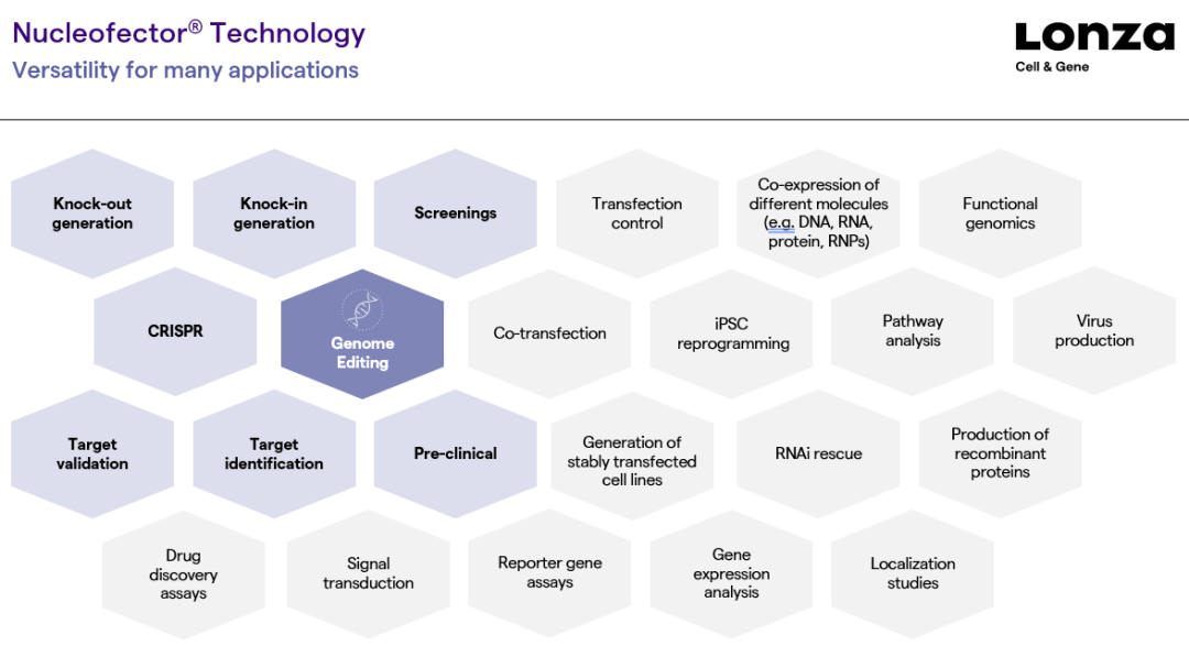 电转百科指南⑤：CRISPR基因编辑的转染技巧与注意事项（上篇） - 知乎